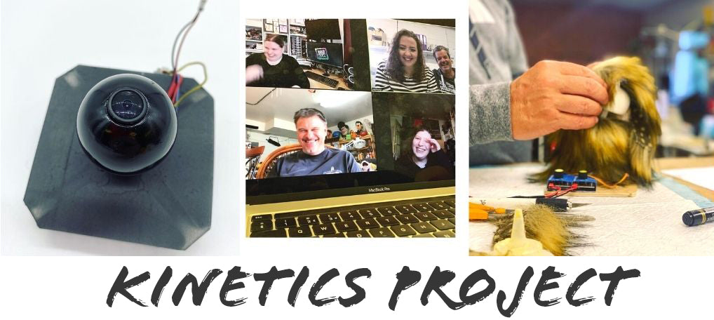 An Introduction to The Kinetics Project